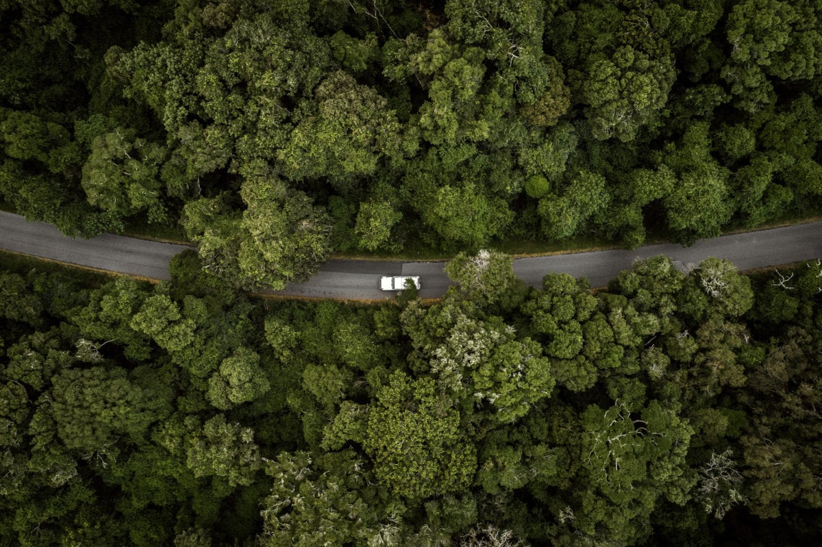48 Hours in the Bunya Mountains - Western Downs Queensland