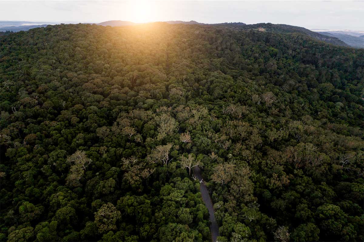 Your ultimate guide to the Bunya, Bell, Jimbour, Jandowae tour ...