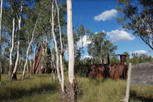 Explore Barakula State Forest - Western Downs Queensland