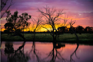 Condamine River - Western Downs Queensland