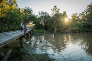 Explore Barakula State Forest - Western Downs Queensland