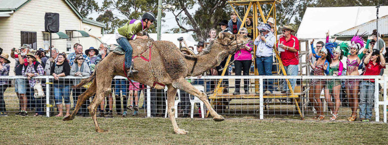 Tara Showgrounds – Western Downs Queensland