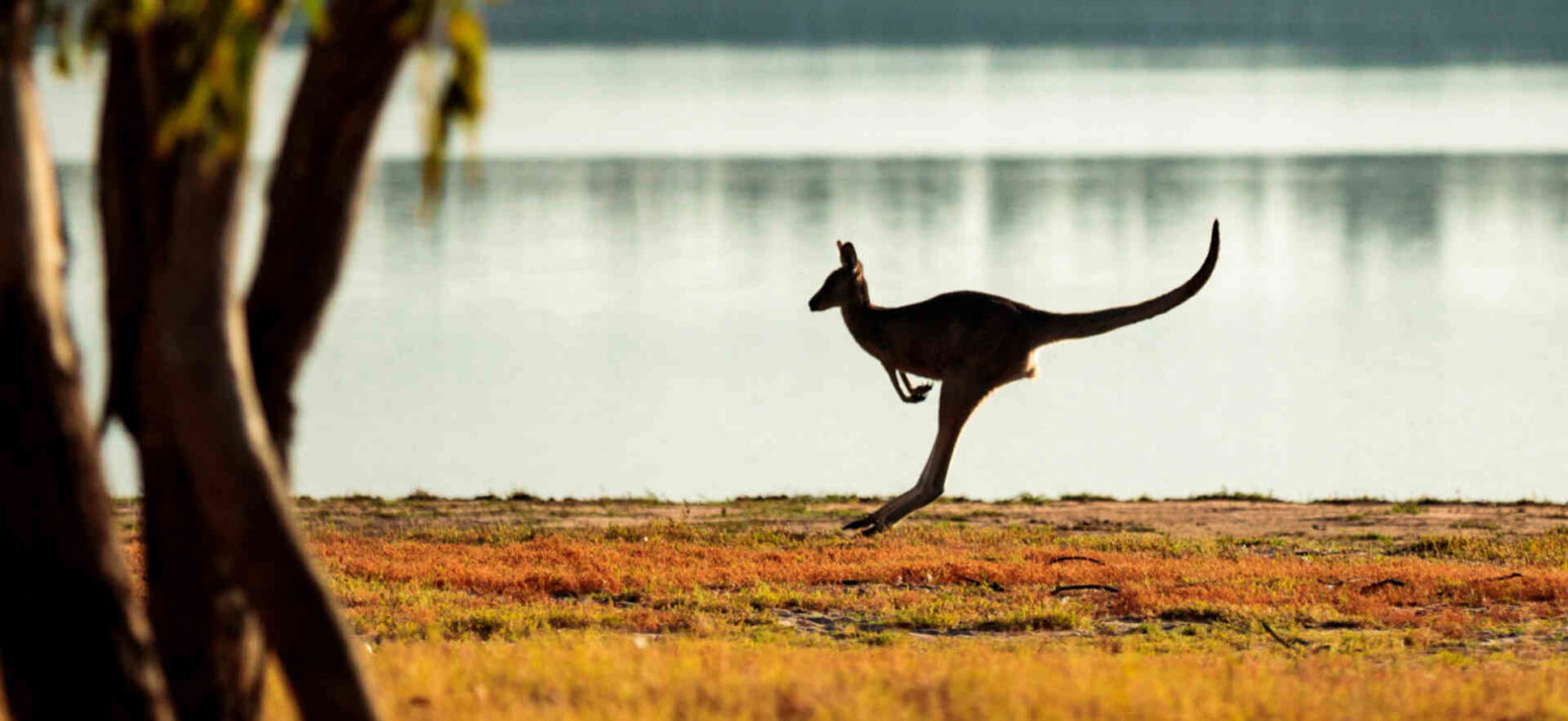 Experience - Western Downs Queensland