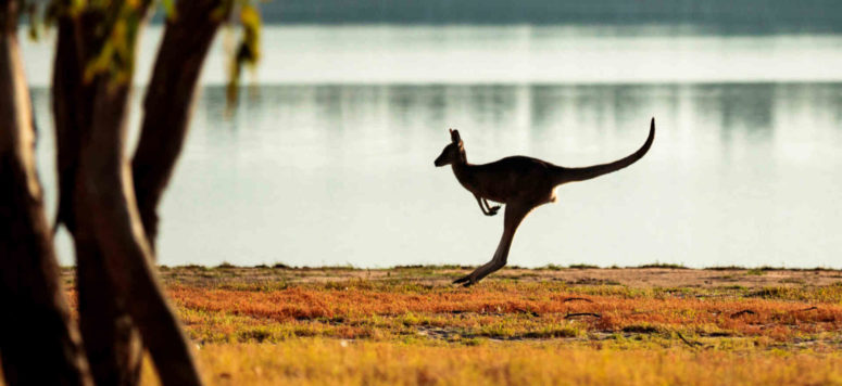 Experience - Western Downs Queensland
