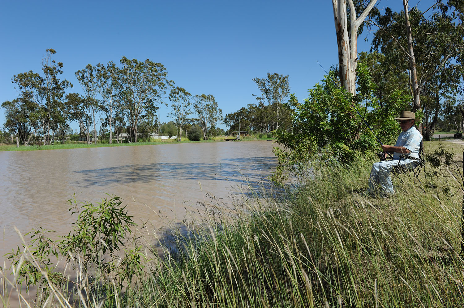 Things to do in Tara Qld - Western Downs Queensland