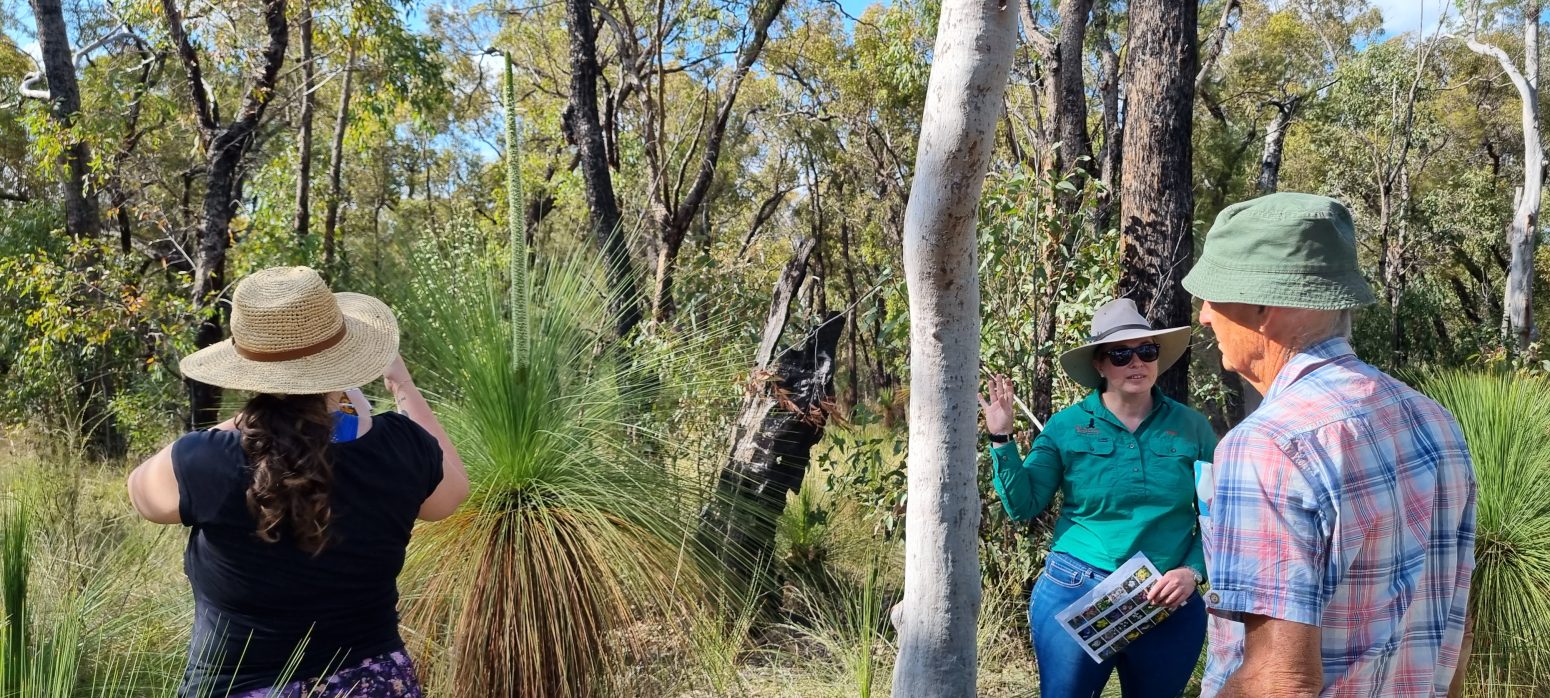 Nature - Western Downs Queensland