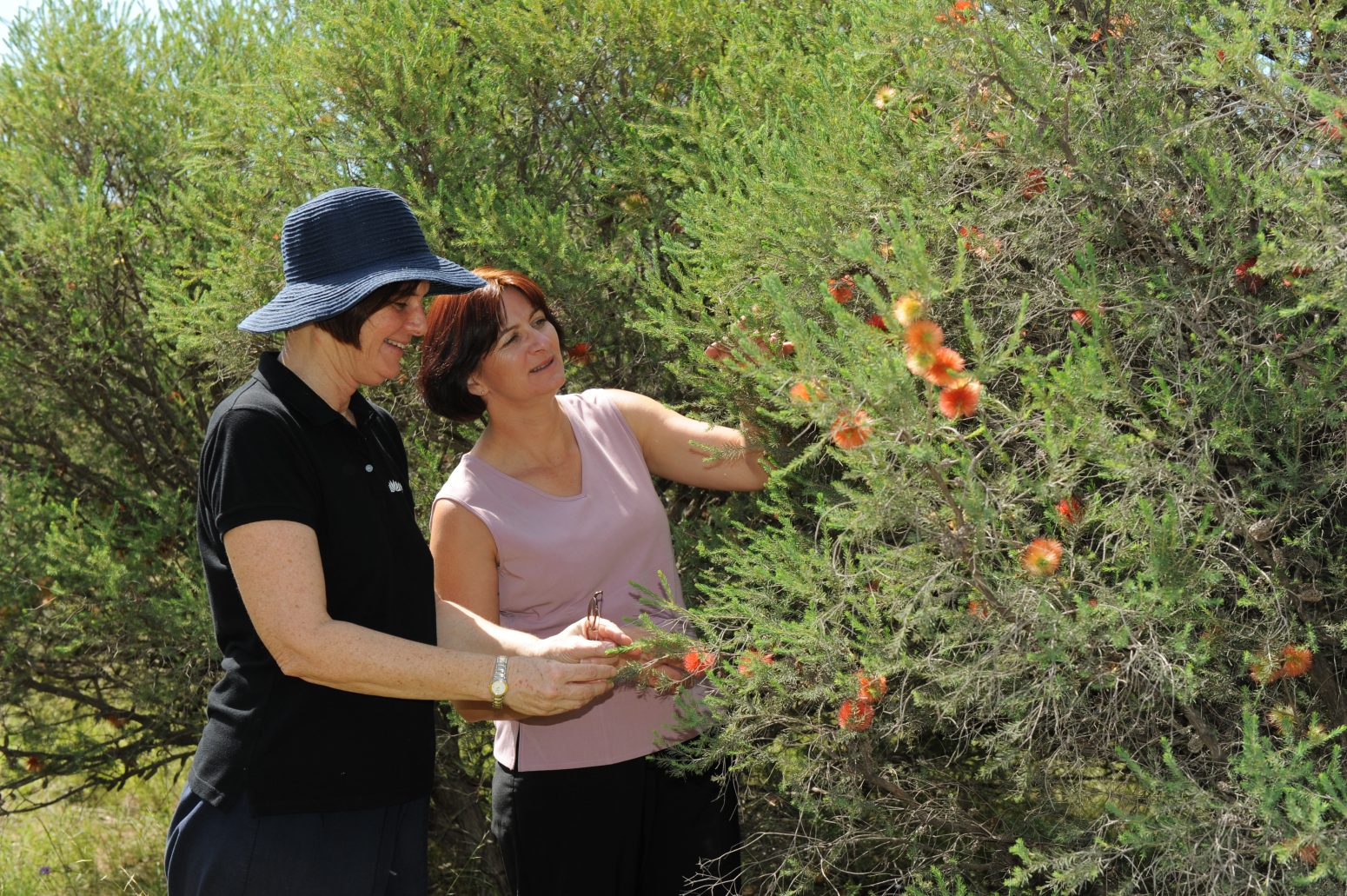 Tara QLD - Explore Western Downs Queensland